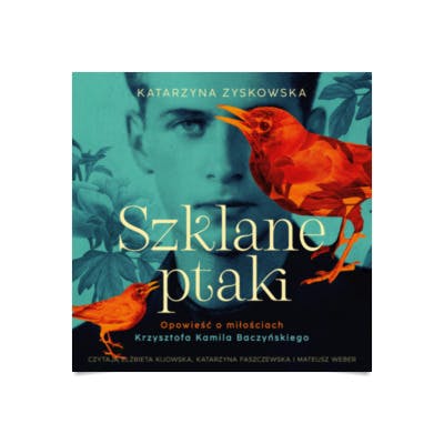 Szklane ptaki audiobook | Audioteka